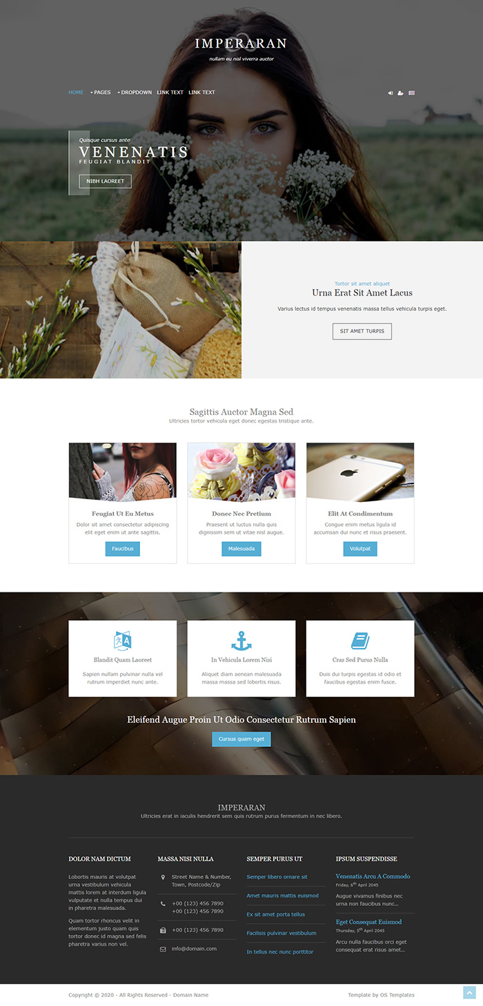 Chart Website Template Free